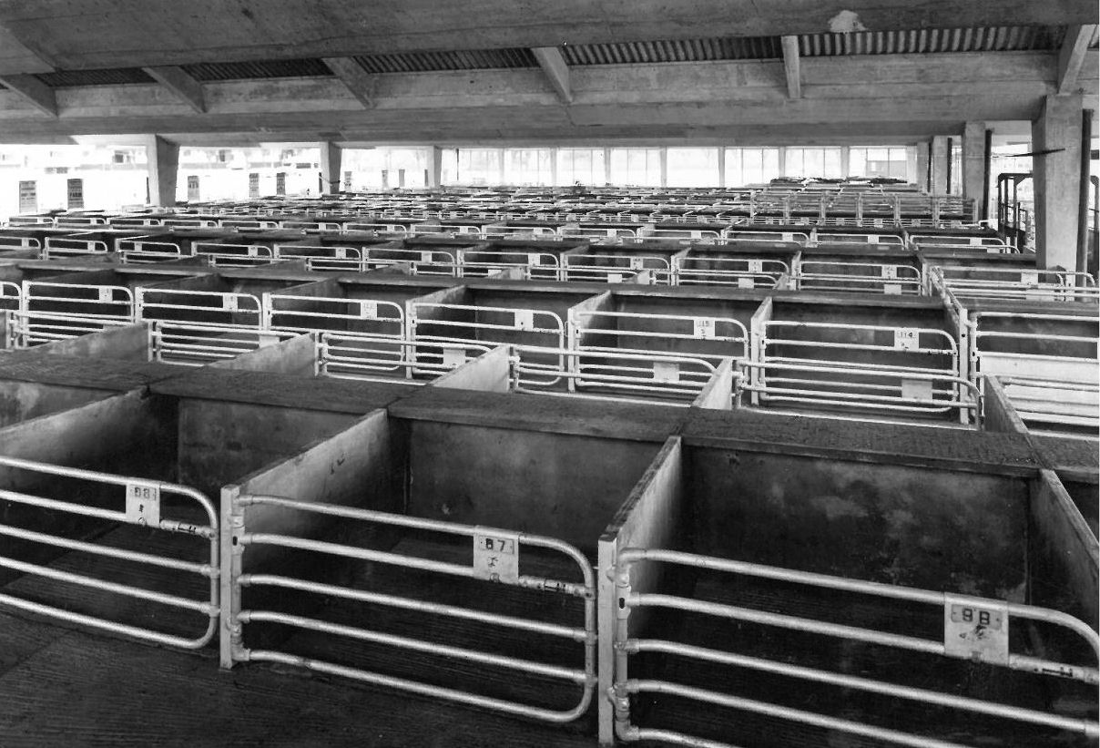 Parapet Wall Fall Protection: Regulations and Best Practices for ...